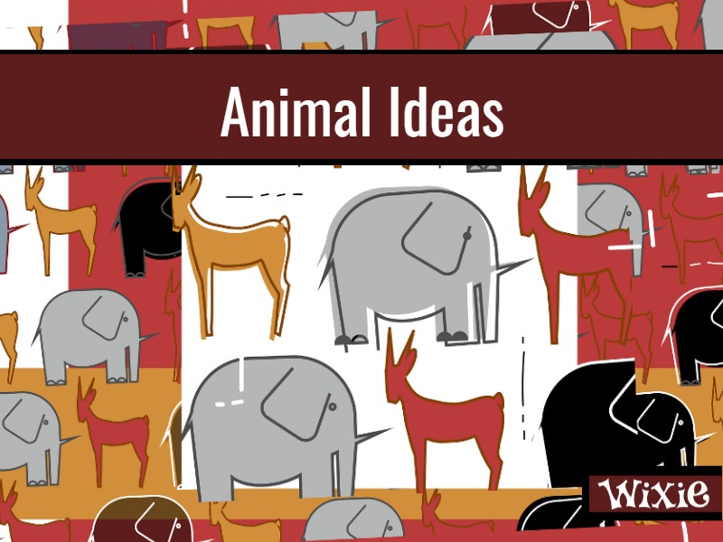 Animal Ideas | Wixie